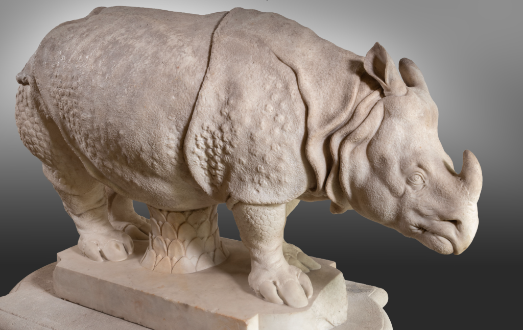 Exhibition: Clara the Rhinoceros